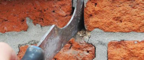 Mortar Re-pointing - Masonry Ottawa